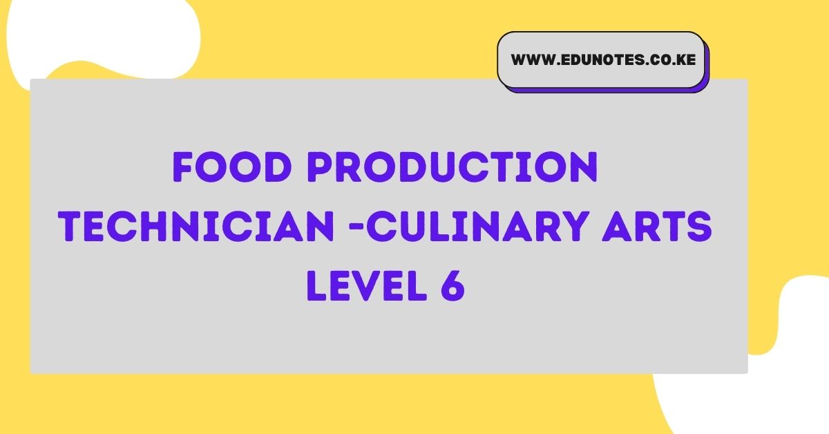 Food Production Technician -Culinary Arts Level 6
