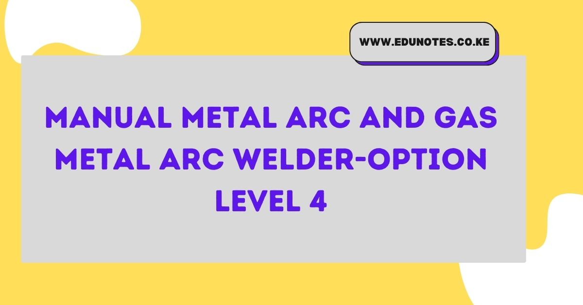 Manual Metal Arc and Gas Metal Arc Welder-Option Level 4